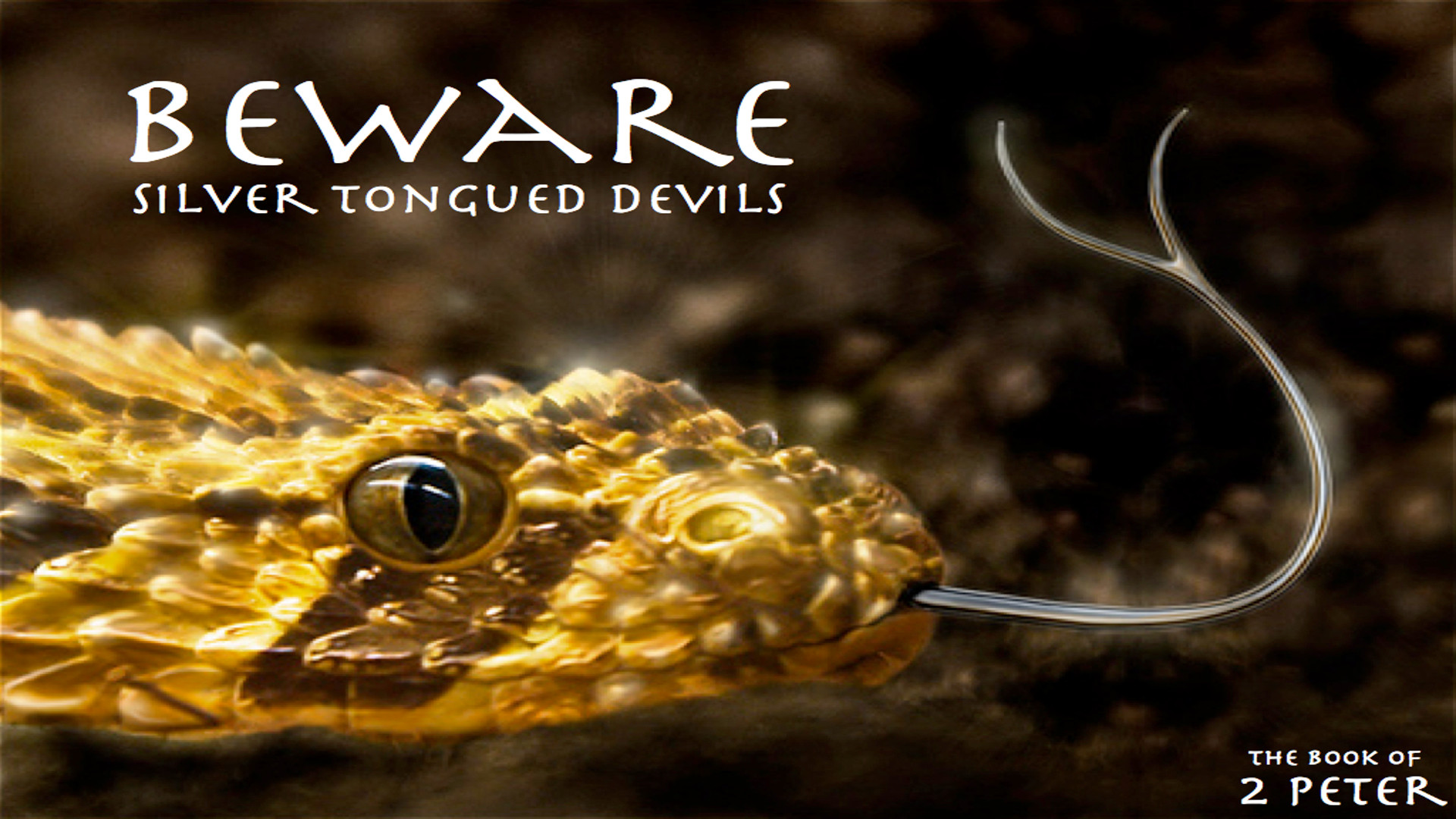 BEWARE SILVER TONGUED DEVILS | THE BRIDGE