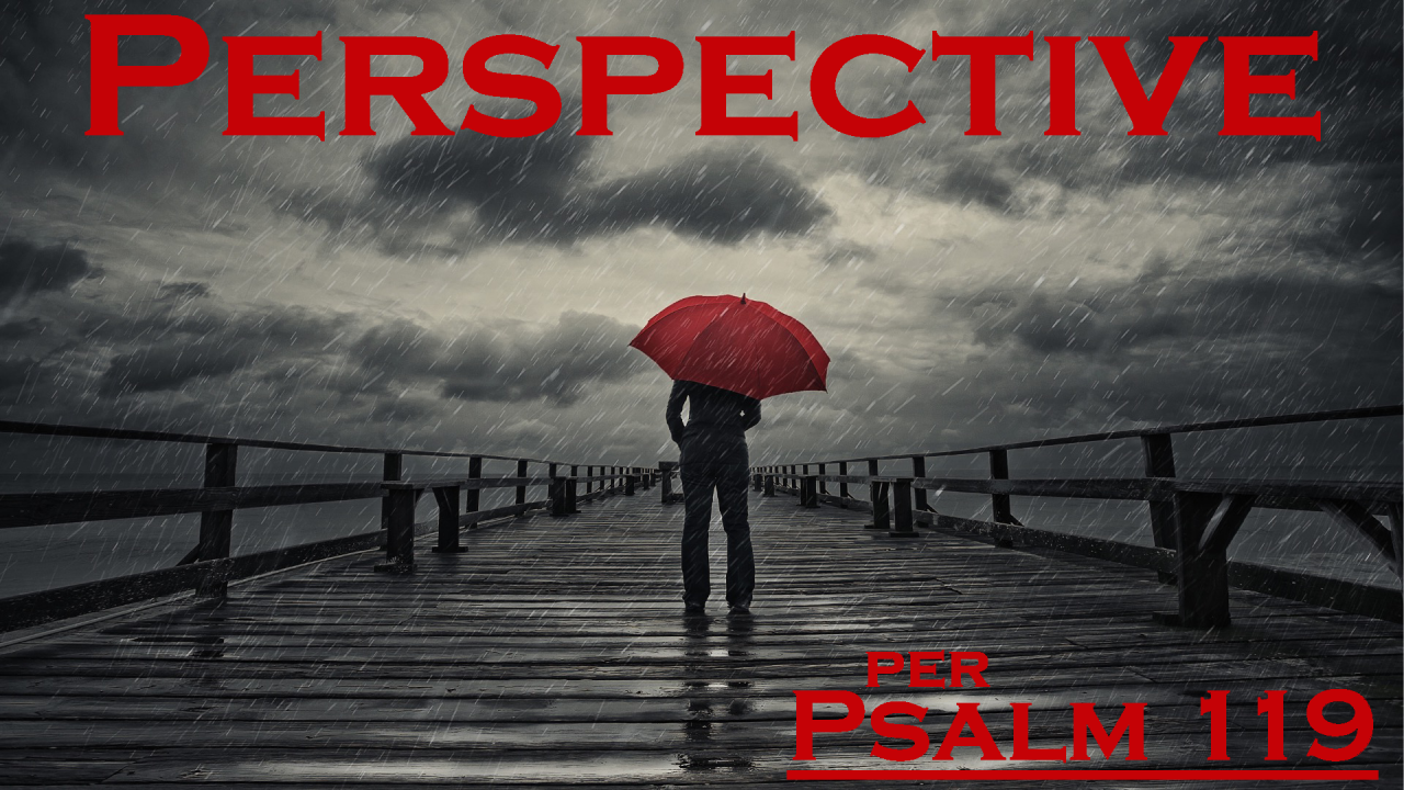 PERSPECTIVE | THE BRIDGE