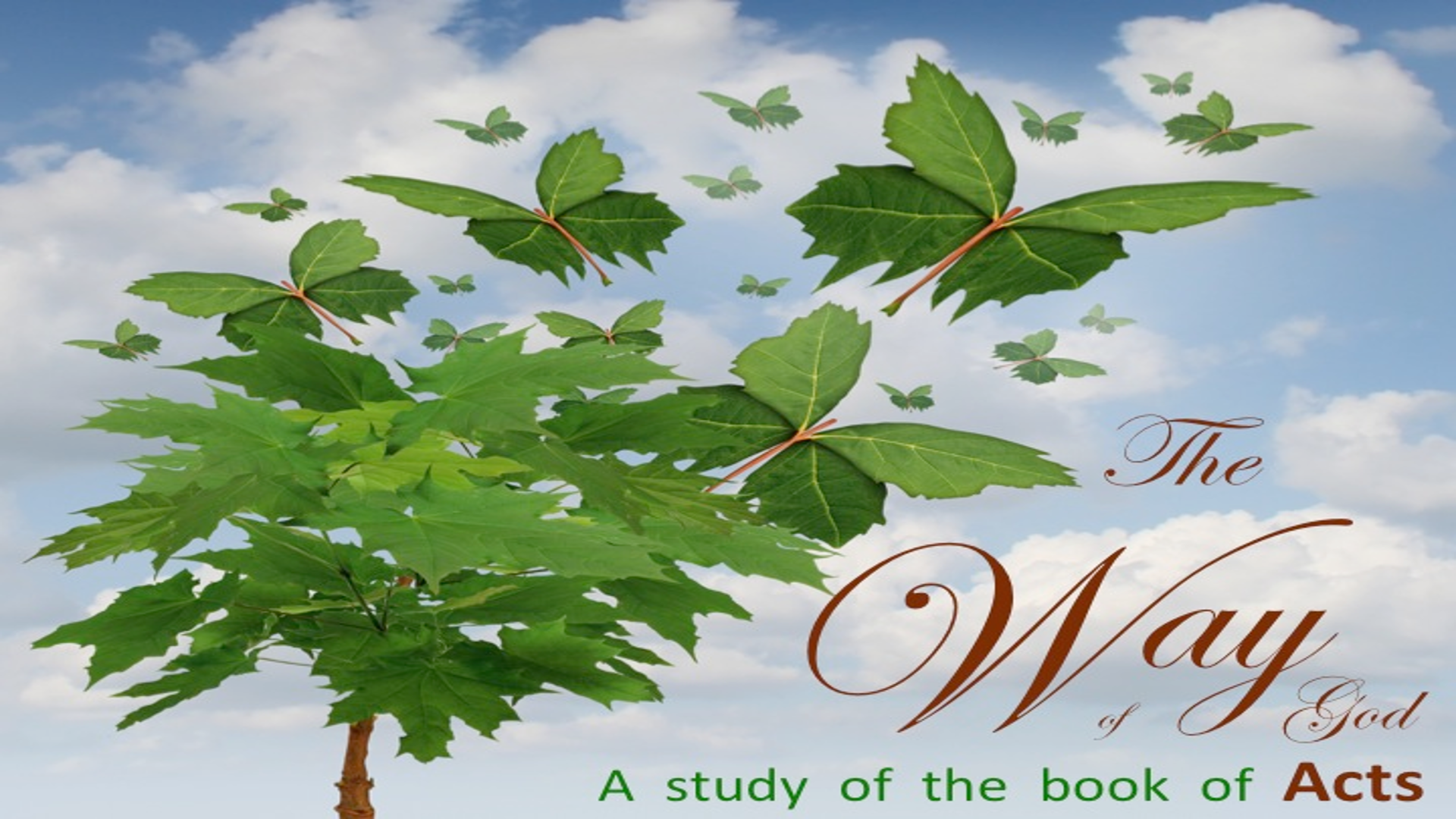 THE WAY OF GOD | THE BRIDGE