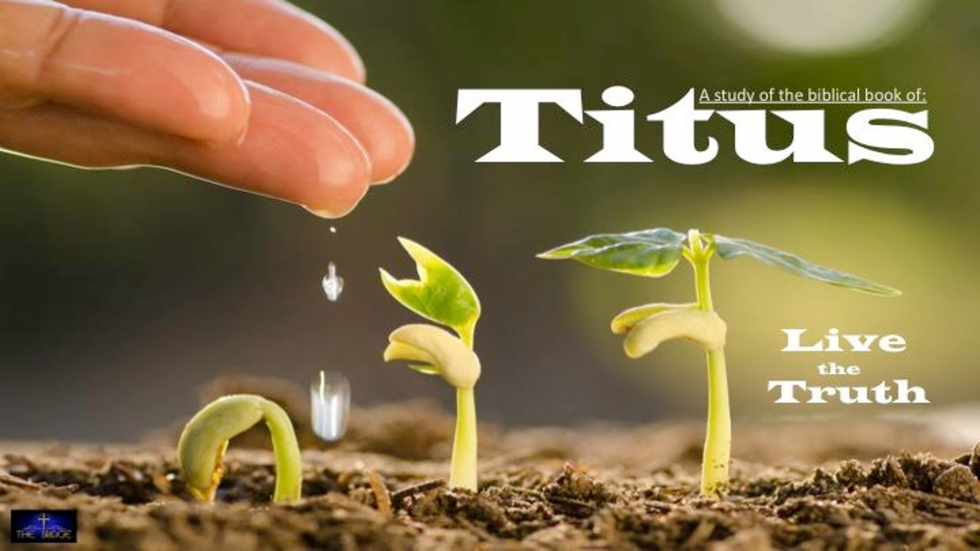 LIVE THE TRUTH | THE BRIDGE