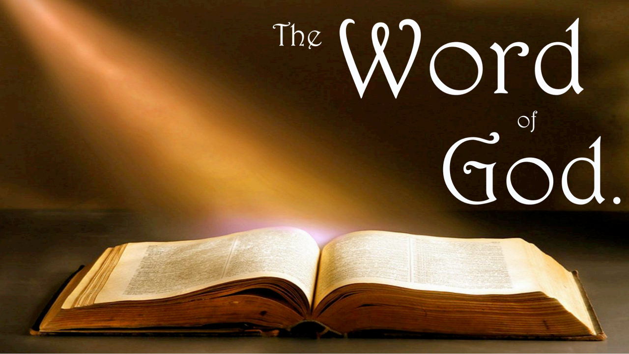 THE WORD OF GOD - THE BRIDGE